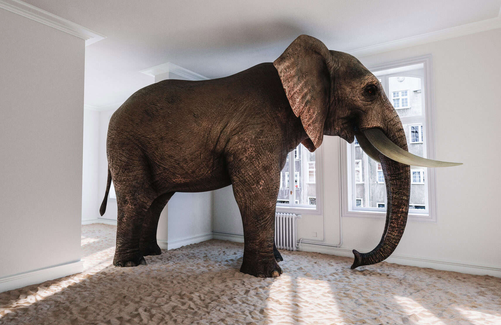 12 Biggest 'Elephants in the Room' Society Must Confront