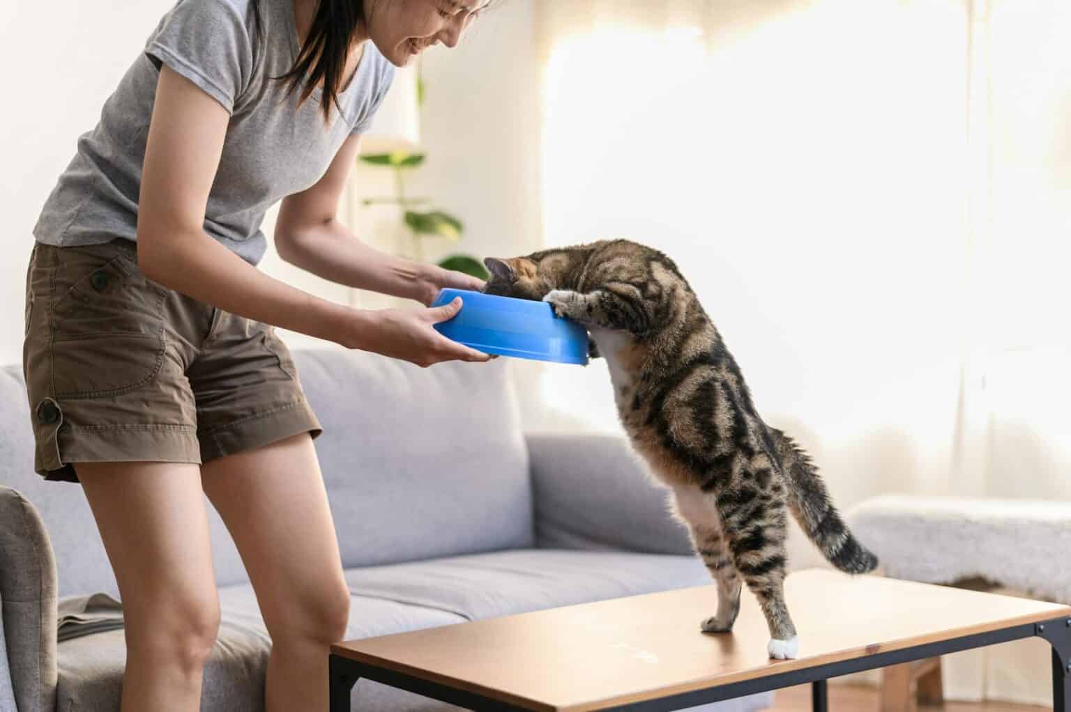 People Who Prefer Animals Over People Have These 10 Traits