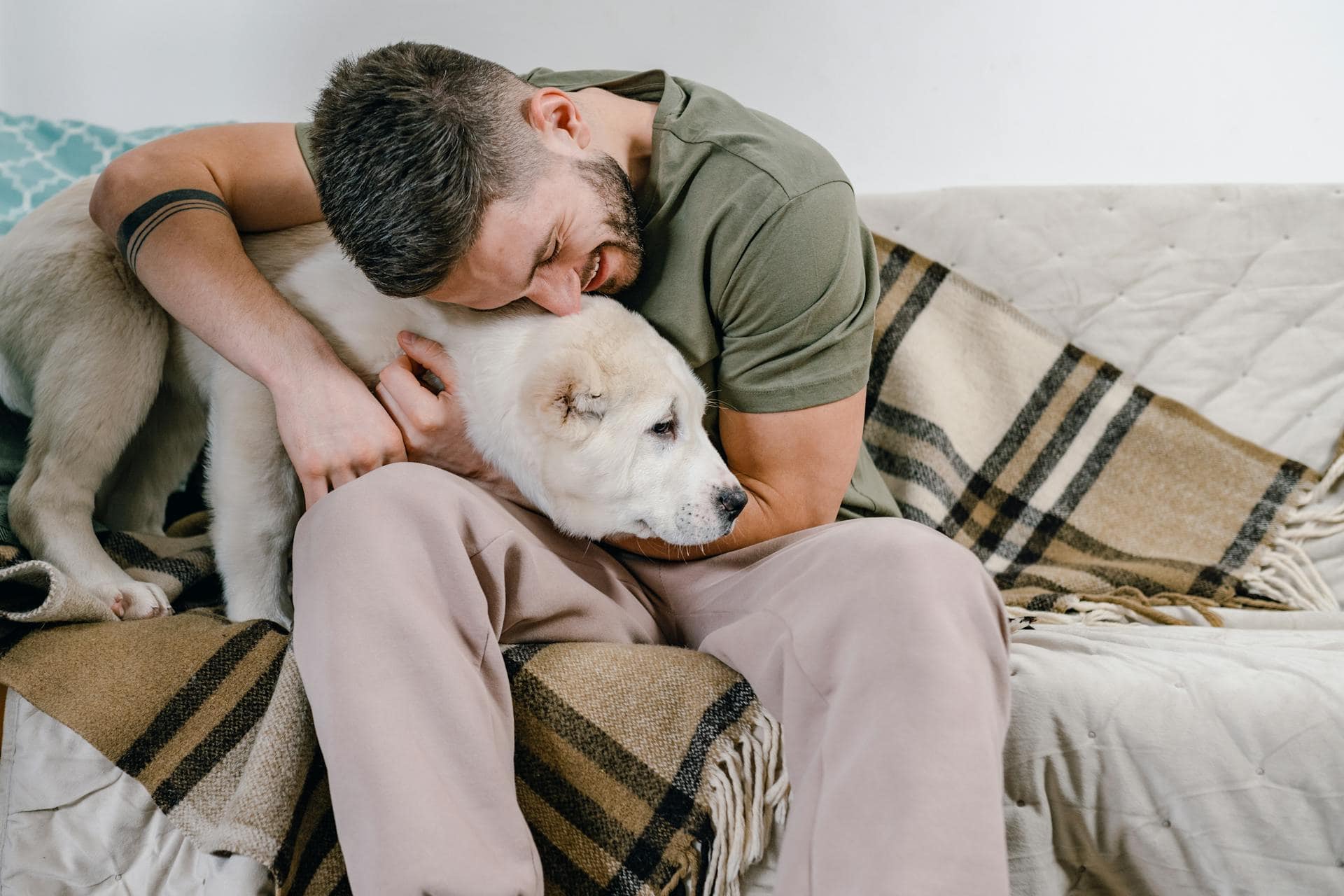 People Who Prefer Animals Over People Have These 10 Traits