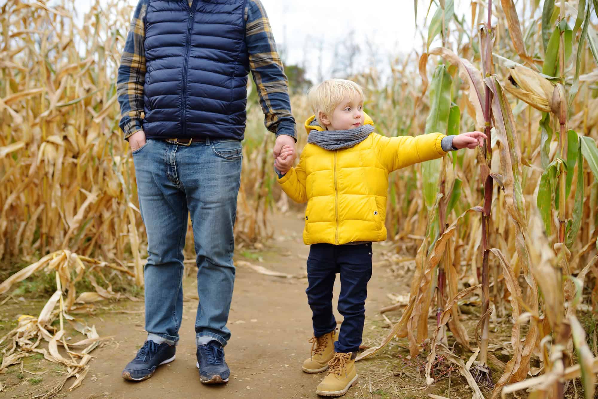 11 Surprising Benefits of Growing Up Far From a Big City in America