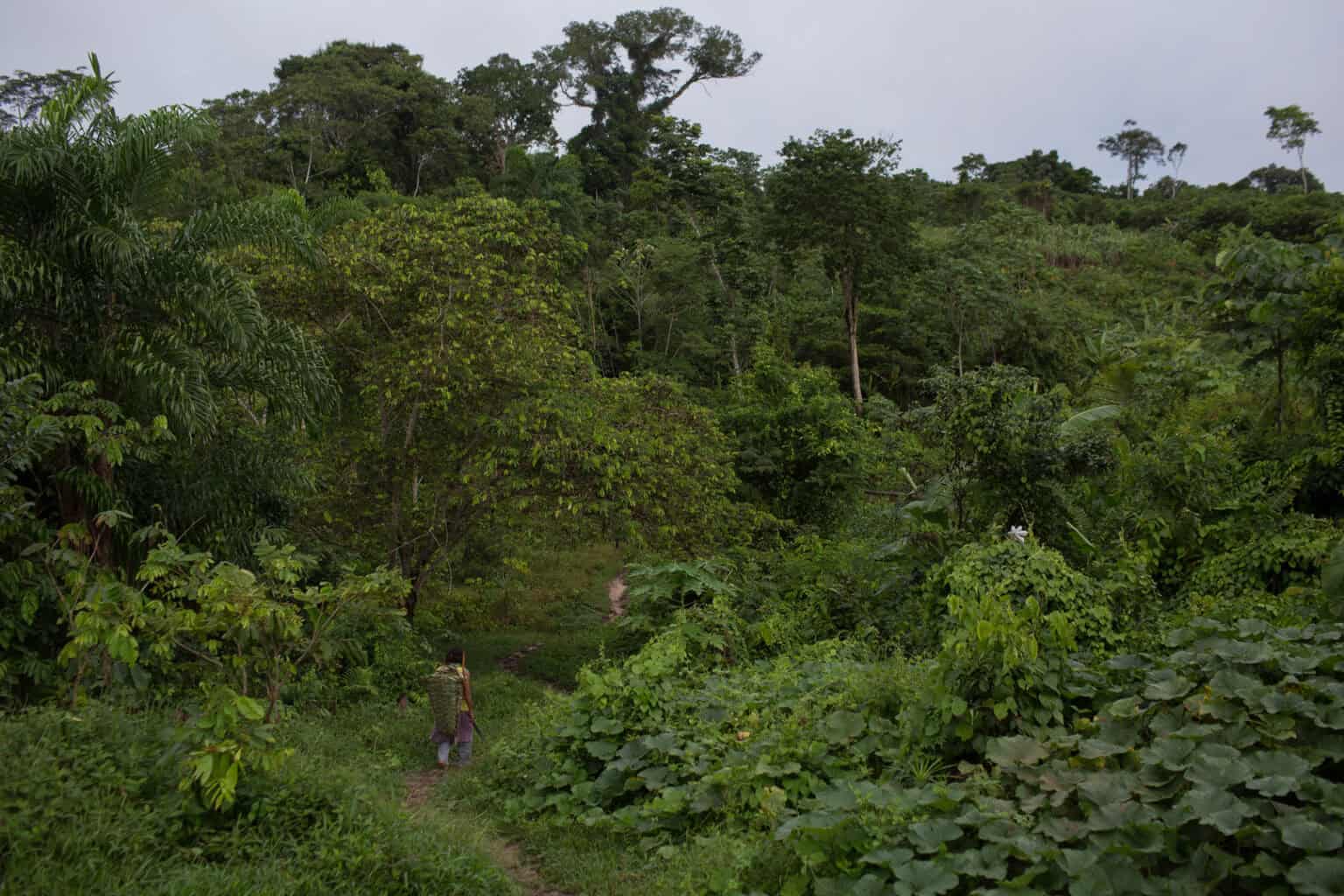 12 Places on Earth That Are Still Unexplored