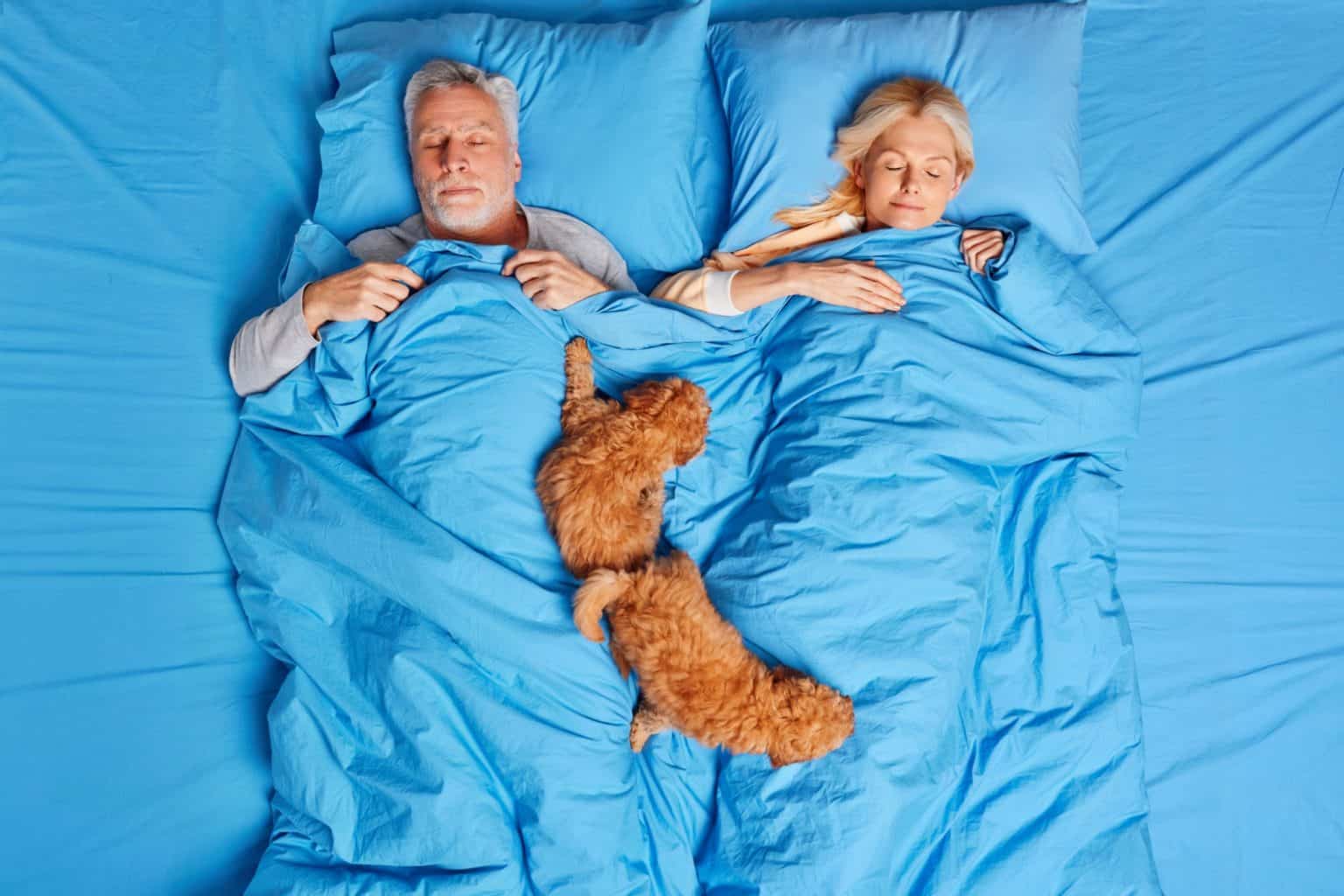 12 common myths many people still believe about aging