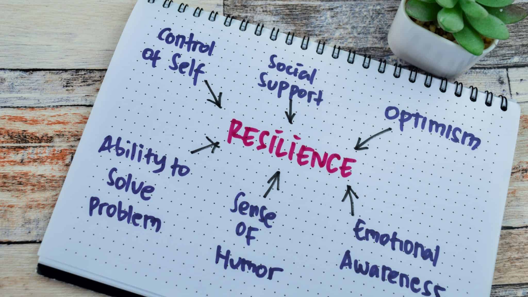 13 traits that successful people have in common